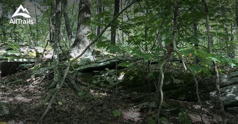 Best Trails Near Montague Massachusetts Alltrails