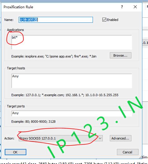 IP Professional Global IP Information Query