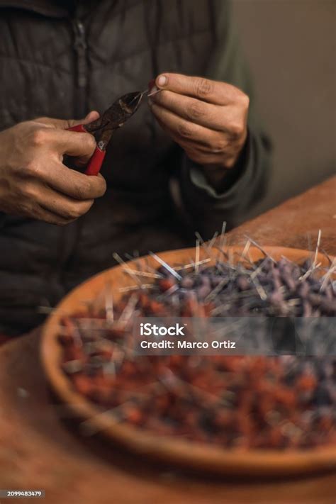 점토 공방에서 점토를 성형하는 손 사람들에게 재료를 성형하여 인물을 만드는 방법을 가르칩니다 공예에 대한 스톡 사진 및 기타