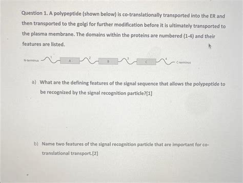 Solved Question 1 A Polypeptide Shown Below Is