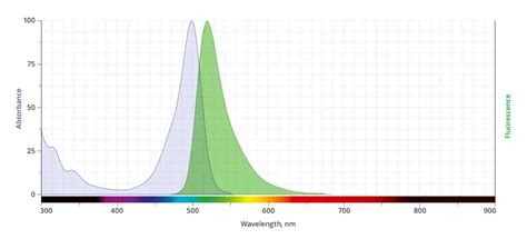 Afdye 488 Azide Click Chemistry Tools
