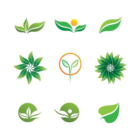 Seed Growing Vector