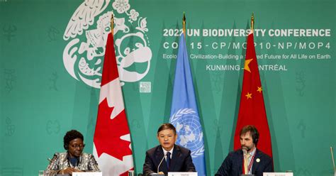 COP15 Ce qu il faut savoir de l accord de Kunming Montréal sur la