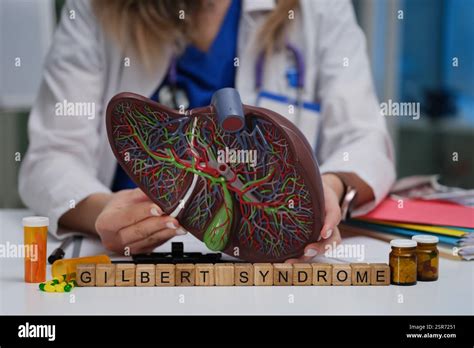 The Gilbert Syndrome And An Elaborate Liver Anatomy Model Are Crucial