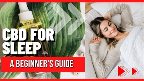 Cbd For Sleep Safrole