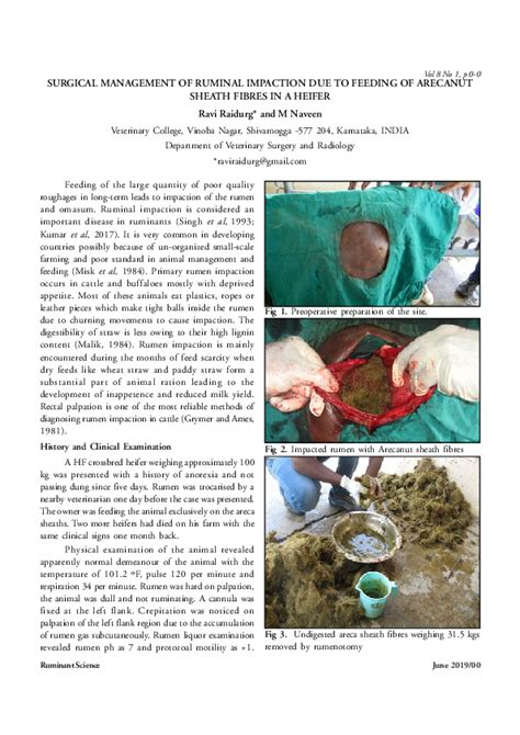 Pdf Surgical Management Of Ruminal Impaction Due To Feeding Of Arecanut Sheath Fibres In A Heifer
