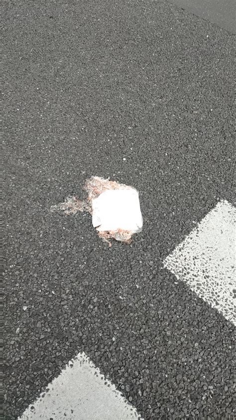ウチューじんささき on Twitter チコたん やめなさい