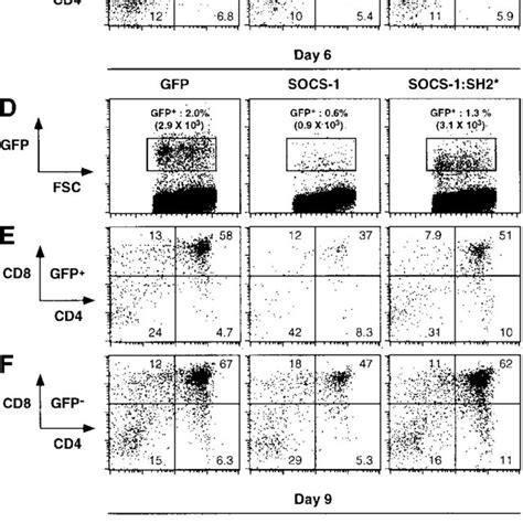 Overexpression Of Socs 1 Impairs T Cell Differentiation From Committed
