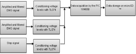 Electromyography Signals Digitalization Source Own Download