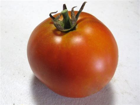 Tomato Mule Team Seeds Certified Organic Garden Hoard Certified Organic Heirloom Seeds