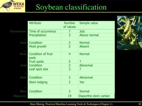 Ppt Data Mining Practical Machine Learning Tools And Techniques
