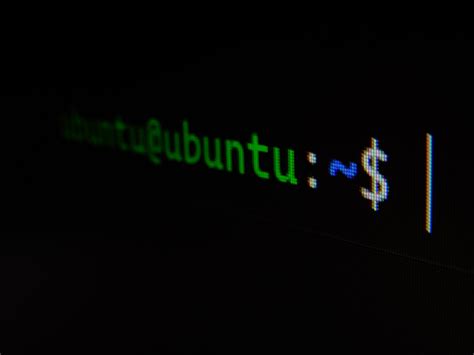 Introduction Au Bash Tout Ce Que Vous Devez Savoir Pour Commencer