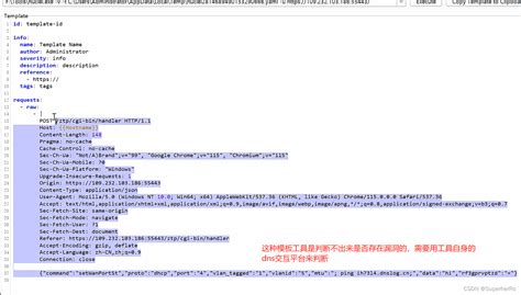 漏洞发现 漏扫项目篇andpoc开发andyaml语法and插件一键生成and匹配结果and交互提取 nuclei poc csdn博客