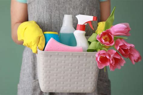 15 Day Spring Cleaning Challenge Saving Dollars And Sense