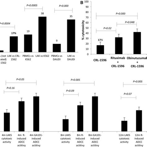 Lak Cell Cytotoxicity And Adcc Activity Against The Cd20 Tumor Cell