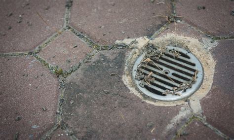 Shower Drain Leaking Into Crawl Space Full Guide 2024