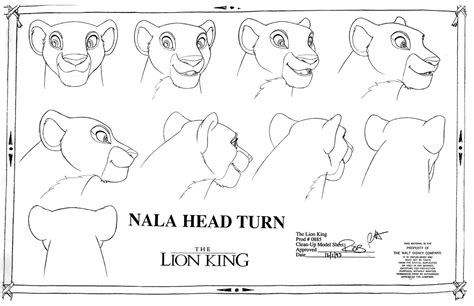 Model Sheets Simba Nala Pumbaa And Timon “the