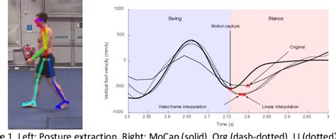 Figure 1 From Application Of Video Interpolation To Markerless Movement