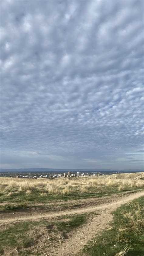 Christopher Murphy On Linkedin 100daysofcode Pythonprogramming