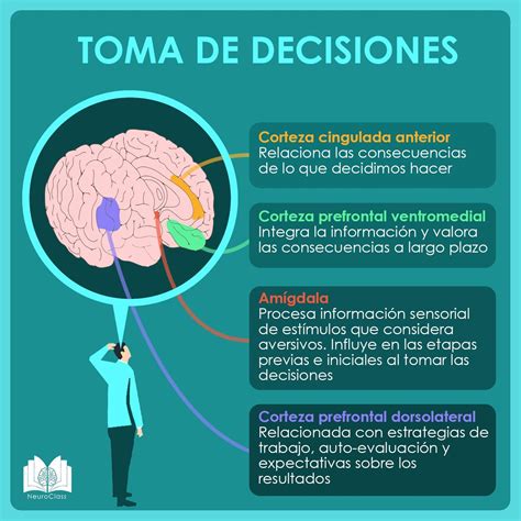 Conoces Los Sesgos Cognitivos Y Como Afectan En La Toma De Decisiones