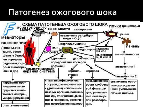 Шок Виды шока Этиология презентация онлайн