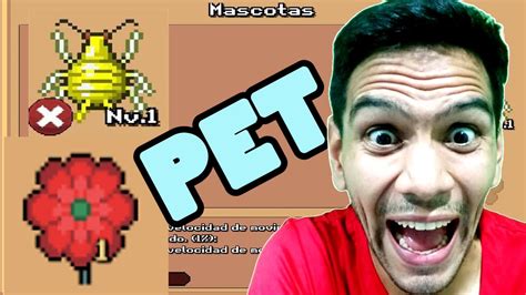 Como Conseguir La Mascota En Pocket Ants Todo Sobre La Mascota