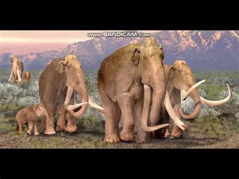 Columbian Mammoth Sounds Youtube