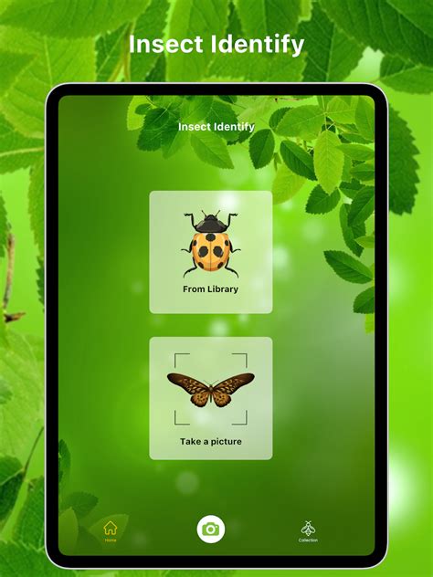 Bug Identifier Insect Identification For Android Download