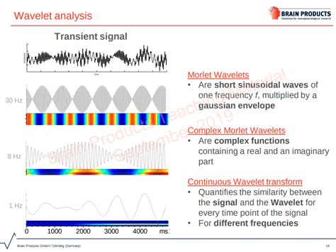 Eeg Erp Wavelets Analysis