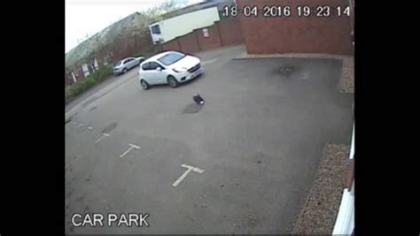 Watch Brazen Fly Tipper Caught On Camera Urinating In Car Park In