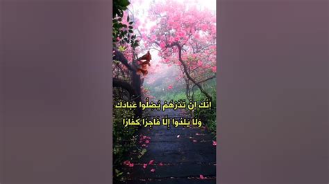 Shorts وَقَالَ نُوحٌ رَبِّ لَا تَذَرْ عَلَى الْأَرْضِ مِنَ