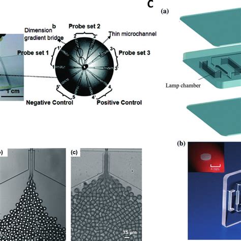 A Microfluidic Device For The Parallel Amplification Of Several Download Scientific Diagram