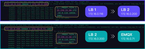 getting the client s real ip when using the nginx reverse proxy for