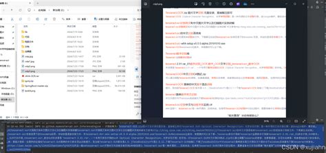 java实现OCR图片识别RapidOcr开源免费 EW帮帮网