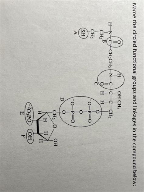 Solved Name The Circled Functional Groups And Linkages In Chegg
