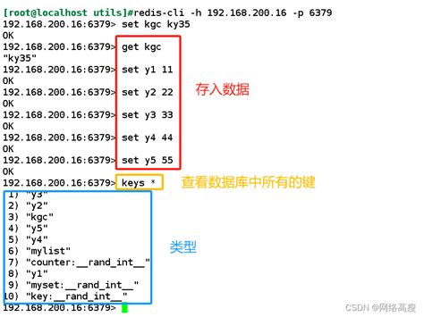 关系型数据库与非关系型数据库、redis数据库
