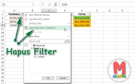 Autofilter Excel 5 Contoh Cara Memfilter Data Di Excel M Jurnal