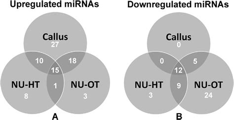 Differential Mirna Distribution In Each Experimental Sample A Venn Download Scientific