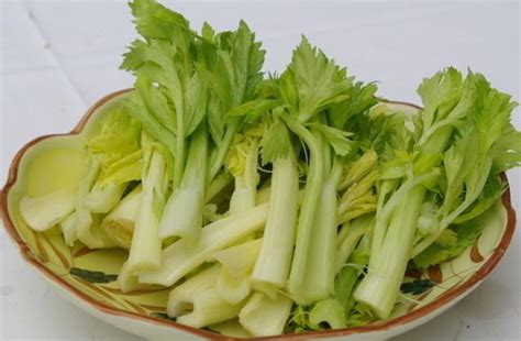 宋美齡40歲患癌但是活到了106歲她的長壽秘訣是常吃這兩道菜 每日頭條