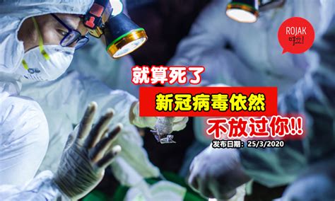 死都不放过你！解剖29具因新冠肺炎而病逝的尸体，竟然发现死病毒还在！