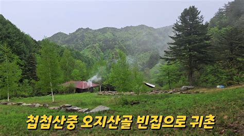 첩첩산중 두메산골 빈집에 귀촌하여 유유자적 즐기는 법🏡 Youtube