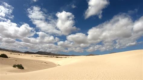 Passatwind Imagens Procure 242 Fotos Vetores E Vídeos Adobe Stock