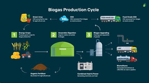 Biogas The Future Of Sustainable Gas In South Africa Solarafrica
