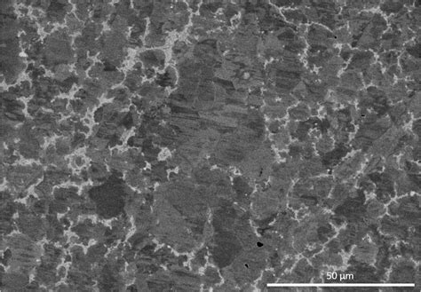 Figure A8 Bse Image Of The As Built Microstructure Laves Phase Are
