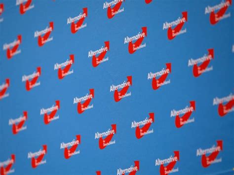 German Spy Agency Ranks Youth Group Of Far Right Afd Extremist Today