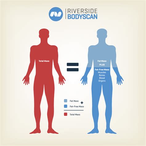 Why We Are Dumping On Bmi Body Mass Index From A Great Height