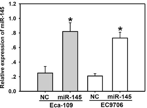 Figure 2 From Mir 145 Inhibits Proliferation And Invasion Of Esophageal