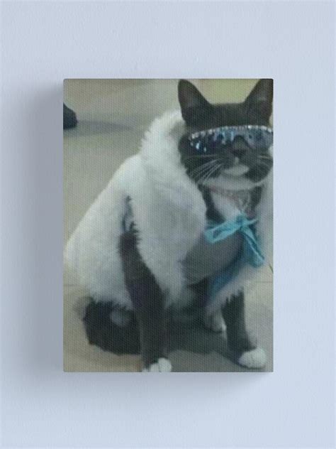 Thug Cat Canvas Print For Sale By Papaknox Redbubble