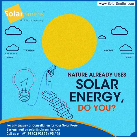 Nature Already Uses Solar Energy Do You Solarsmith Energy
