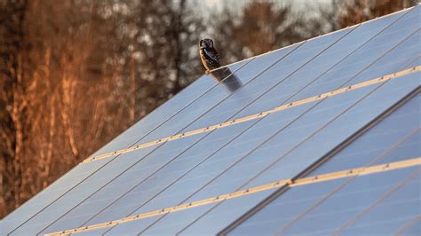 L énergie solaire fonctionnement et production d électricité
